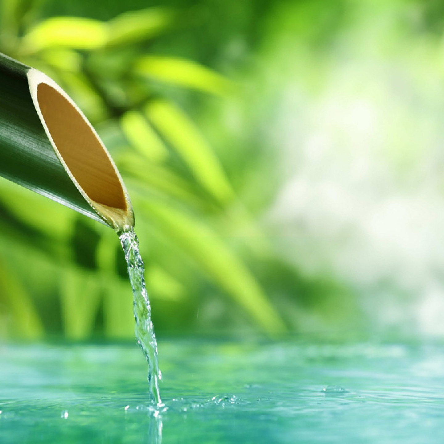 privacy notice | Jan Gallagher, LMHC